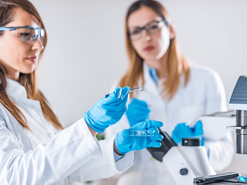 IT Solutions for Biotechnology Industry | ITS